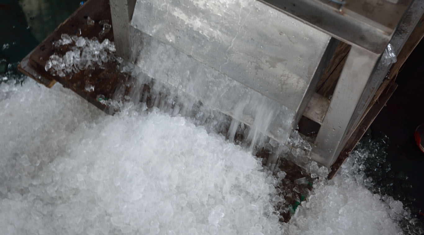 Focusun tube ice crusher-designed for tube ice machine